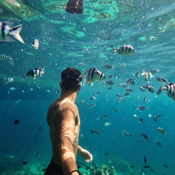 CASON- Brand Official Store – cason.in